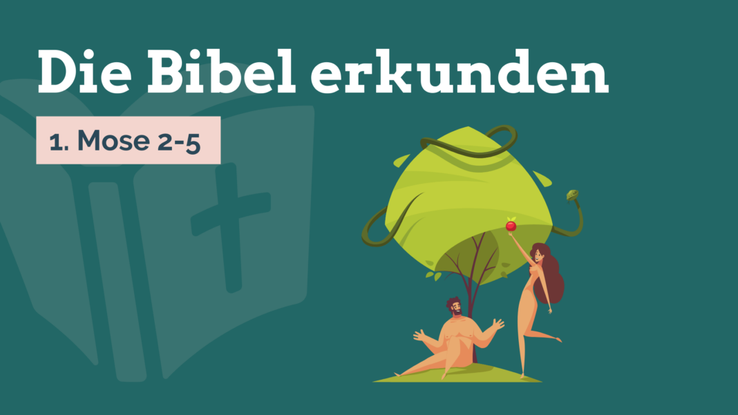 Bibel-Gruppenstunde: Adam und Eva im Paradies › Jugendleiter-Blog