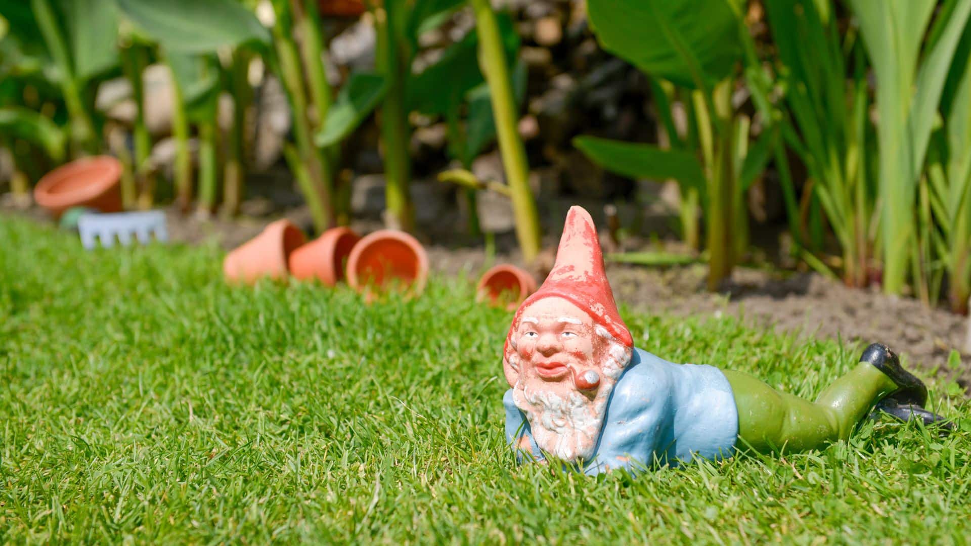 Vorlesegeschichte für Kinder: Der Garten der Zwerge und Feen ...