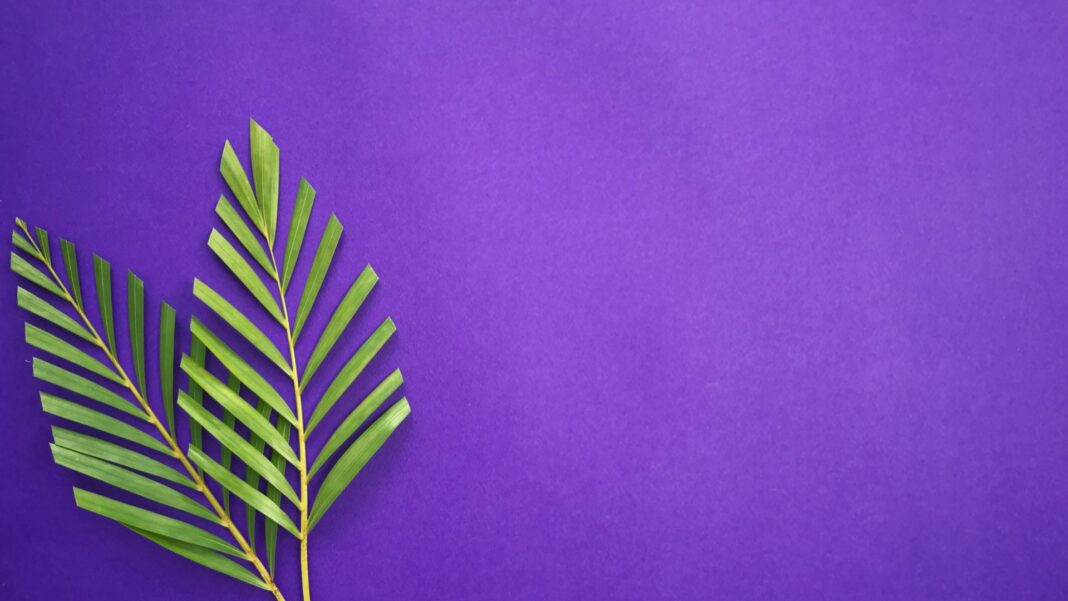 Ideen zur Gestaltung der Fastenzeit für Jugendliche › Jugendleiter-Blog